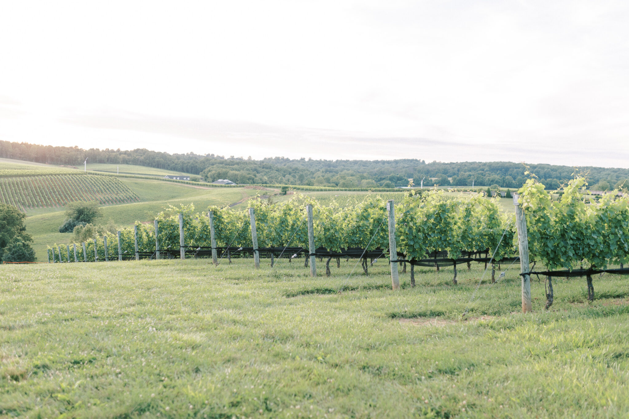 10 Amazing features of a Stone Tower Winery Wedding